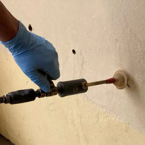 Traitement Termites (préventif/curatif): Alpes-Maritimes,Bouches-du ...